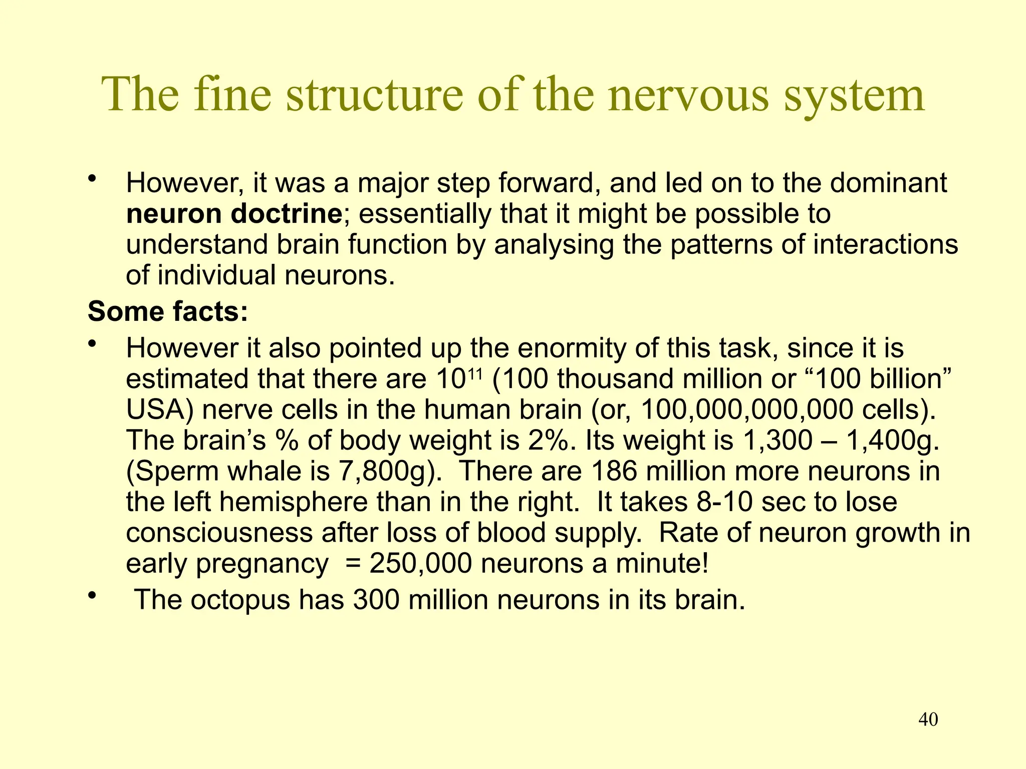 history of nervous system and neurophysiology.pptx