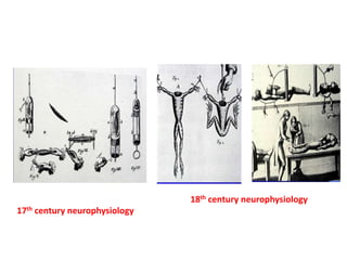 History of neurology | PPTX