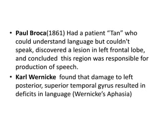 History of neurology | PPTX