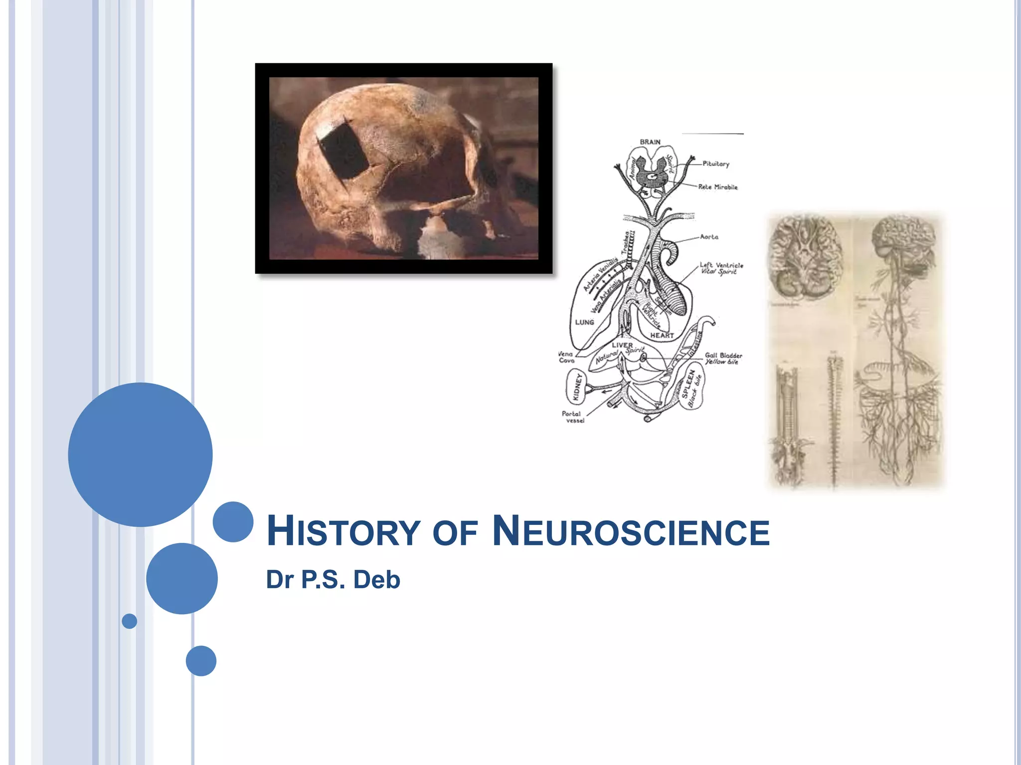 History of neuroscience | PPTX