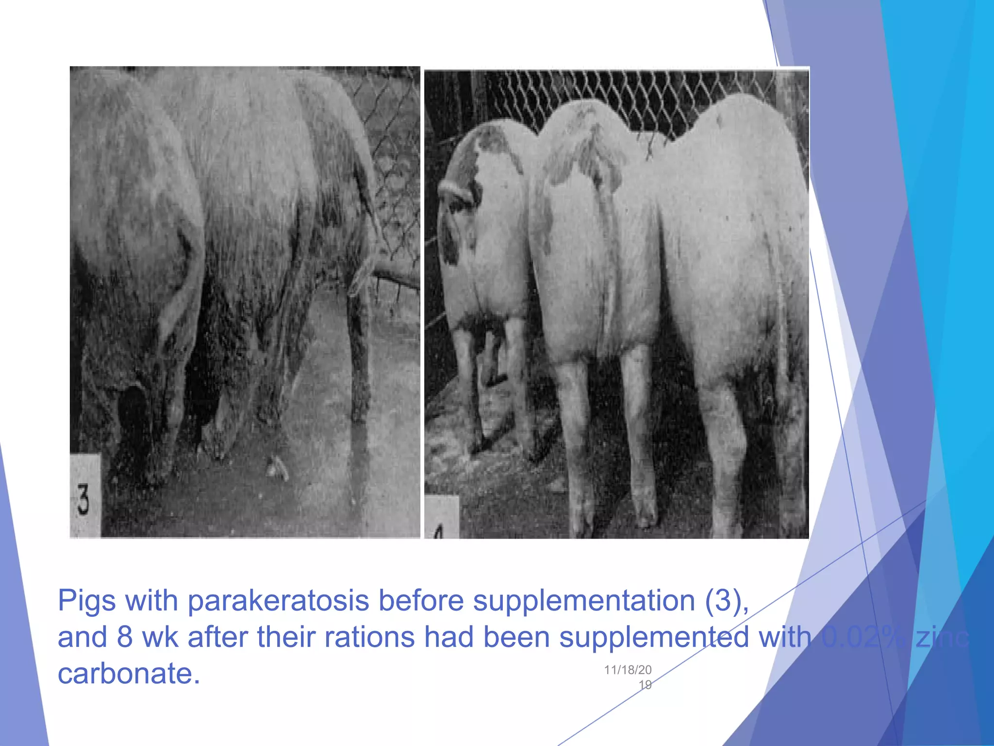 History of nutritional science | PDF