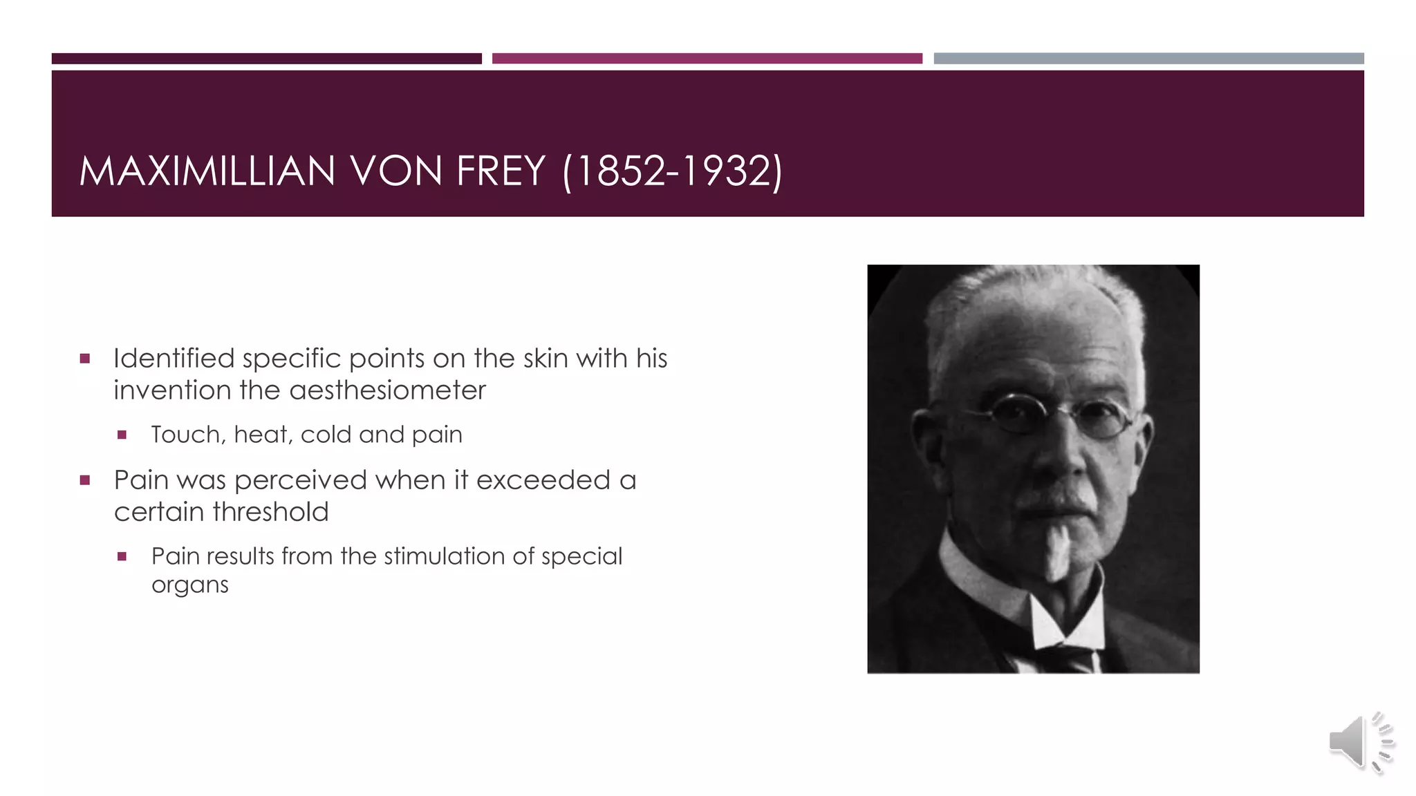 History of Pain Theories | PPTX
