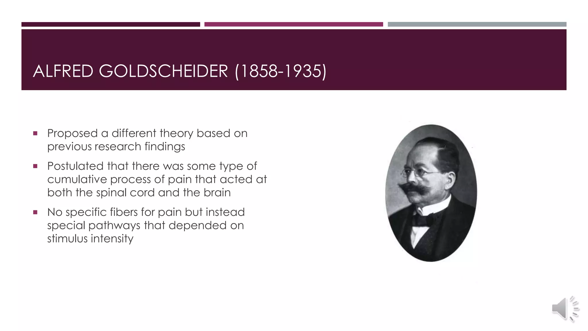 History of Pain Theories | PPTX