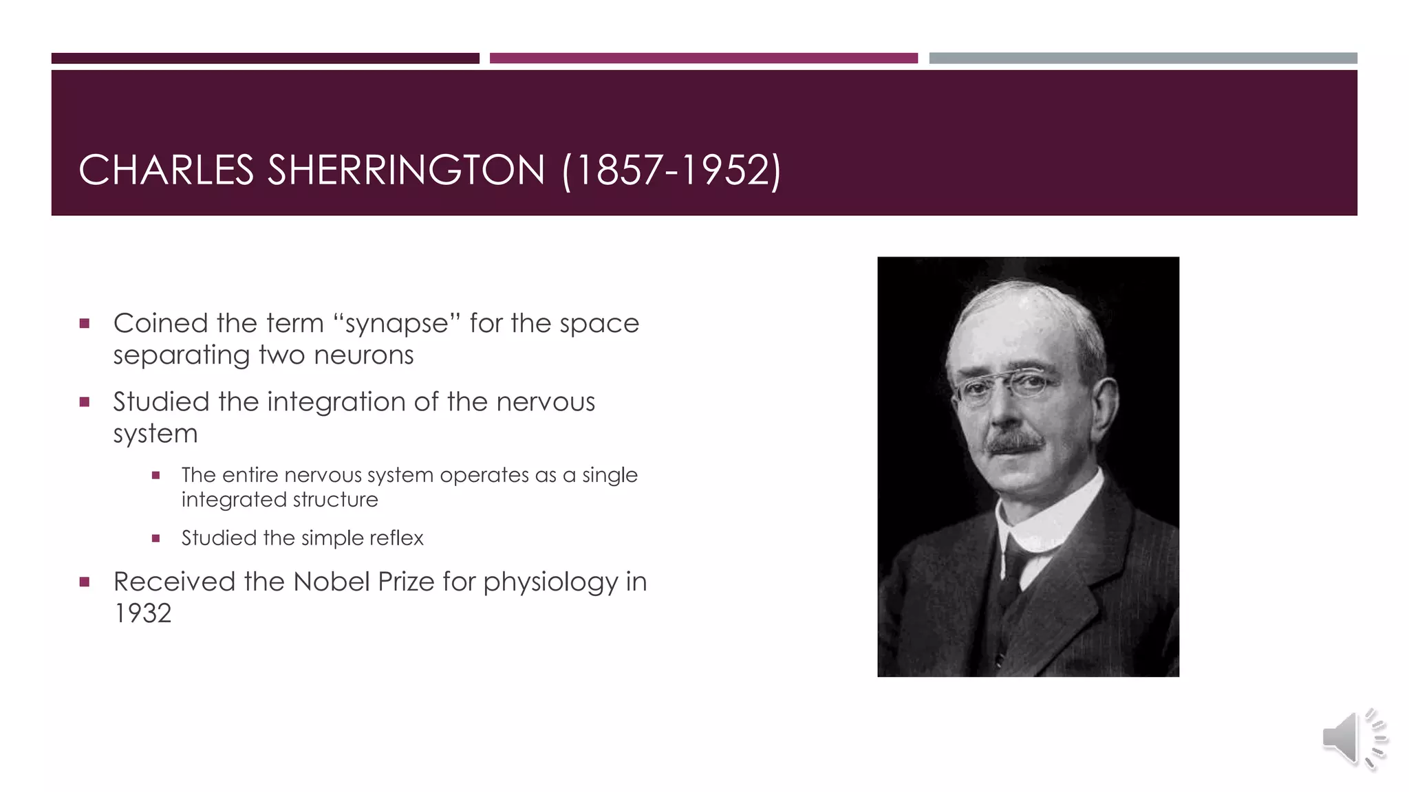 History of Pain Theories | PPTX