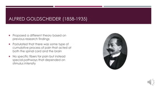 History of Pain Theories | PPTX