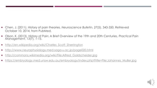 History of Pain Theories | PPTX