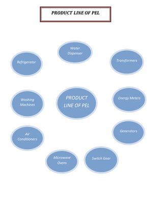 History of pel | DOCX