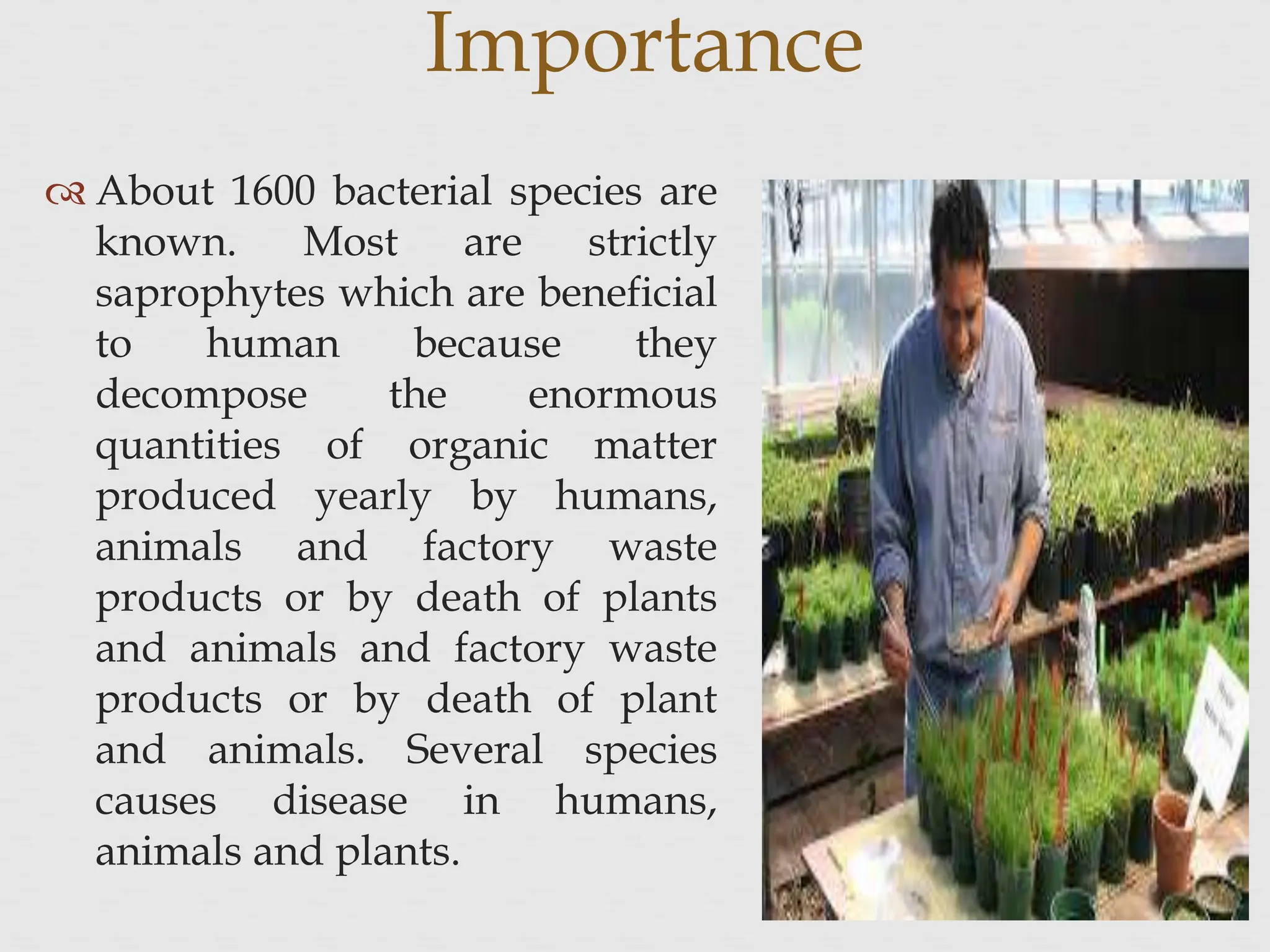 historyofplantbacteriology-170919191056.pdf