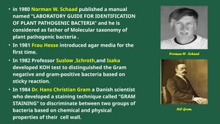 The history of plant bacteriology .pptx