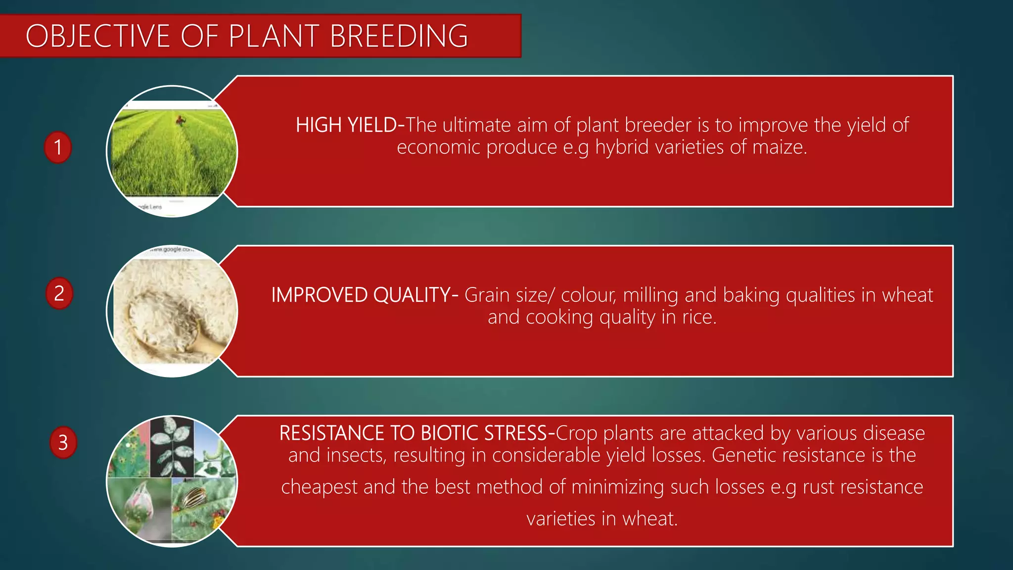 History of plant breeding(Pre and post mendelian era) | PPTX