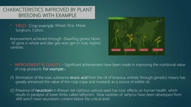History of plant breeding(Pre and post mendelian era) | PPTX
