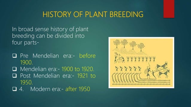 History of plant breeding(Pre and post mendelian era) | PPTX