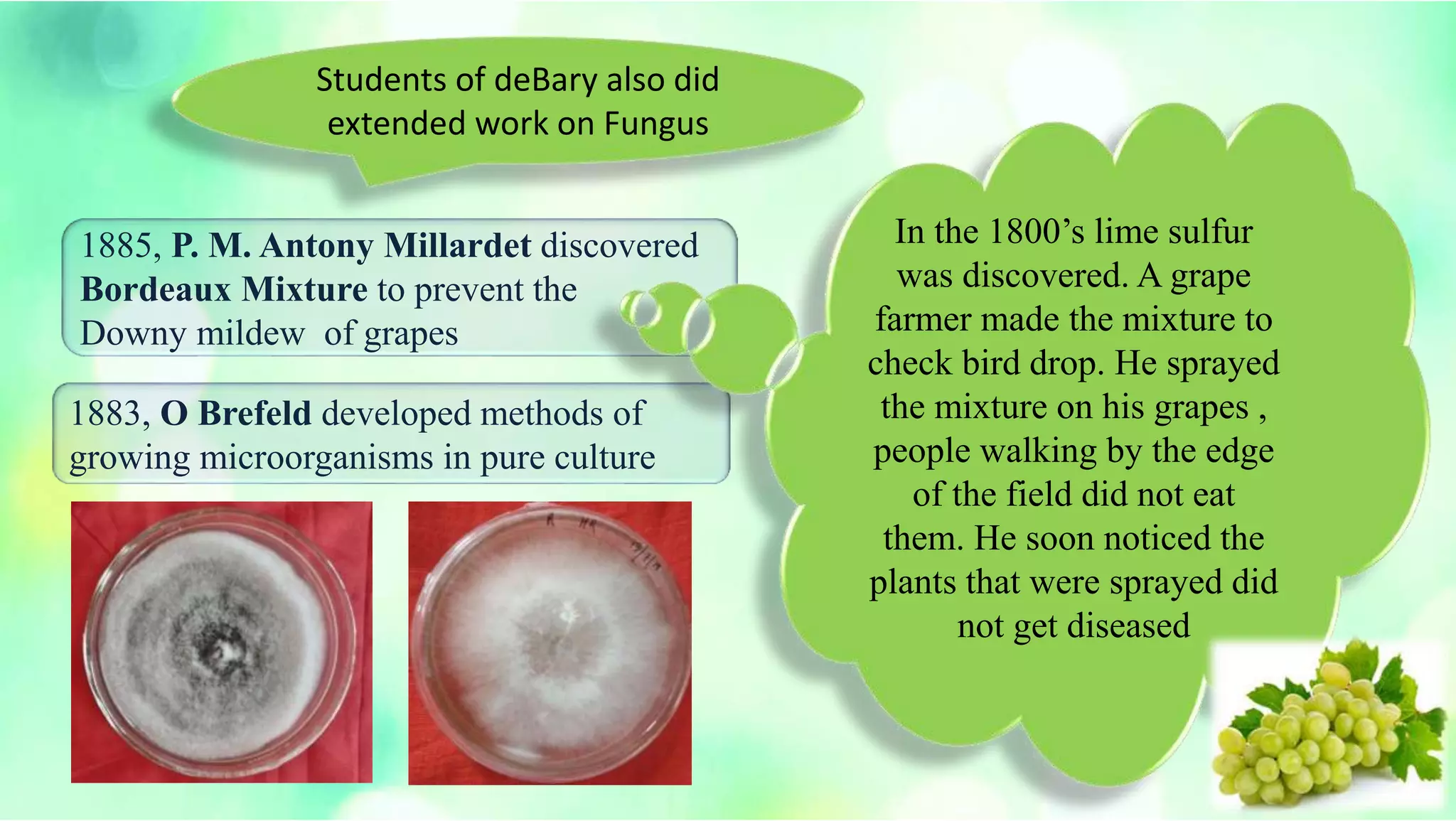 History of plant pathology | PPTX