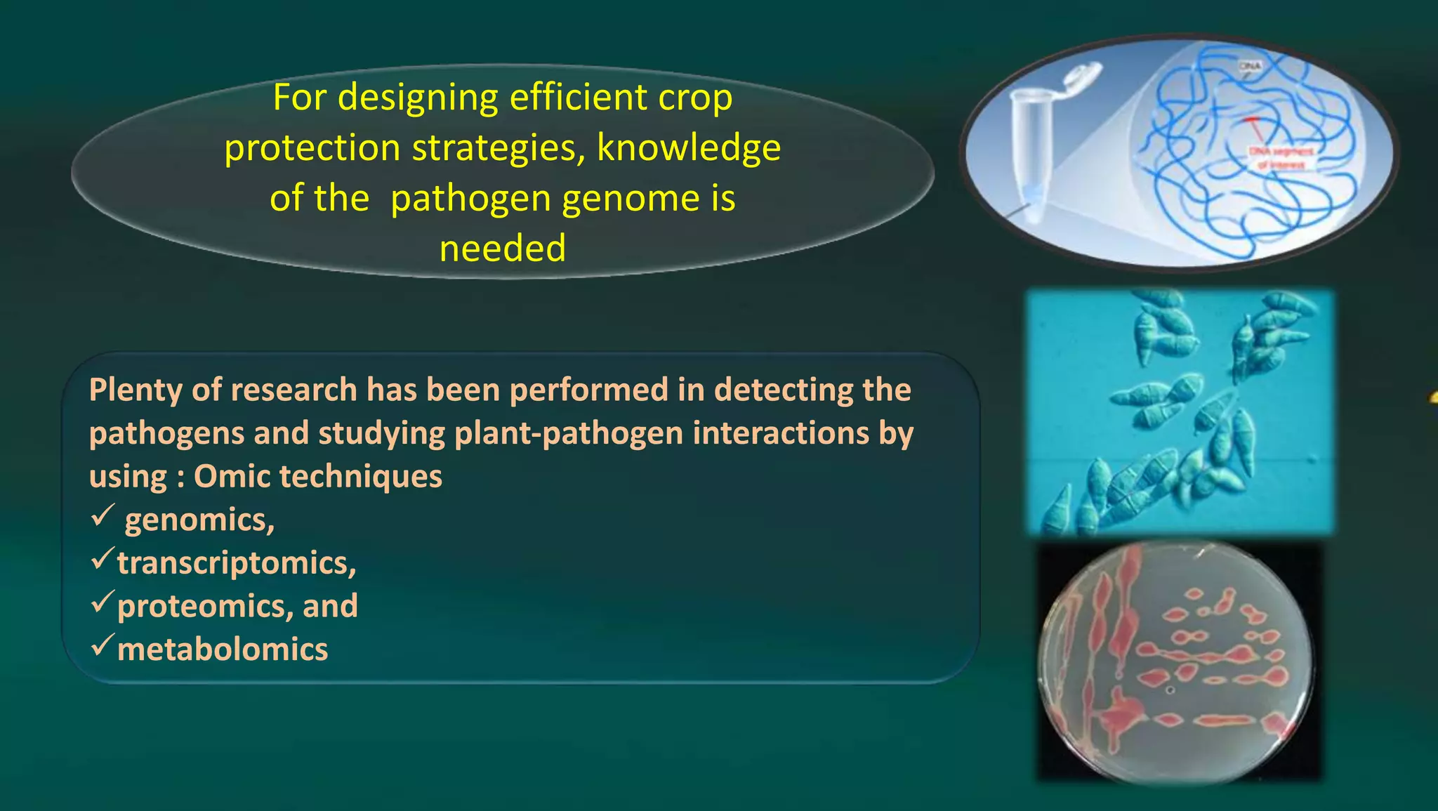 History of plant pathology | PPTX