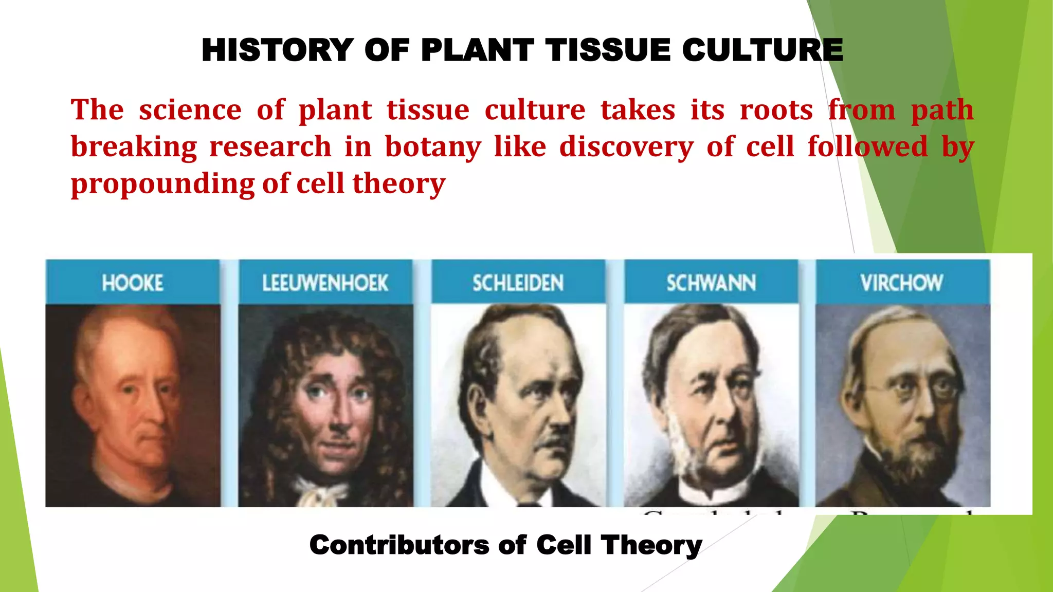 History of Plant Tissue Culture | PPTX