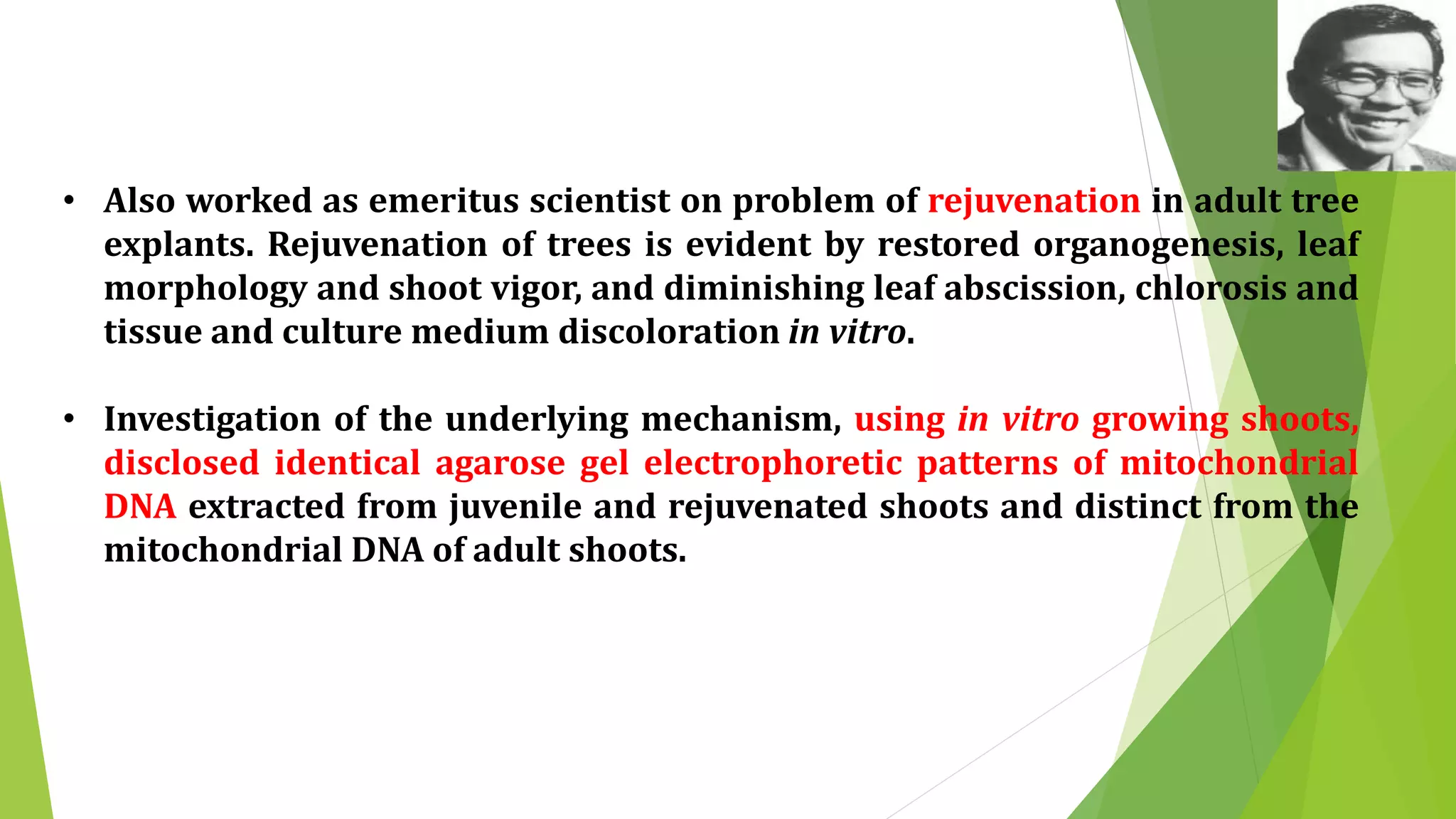 History of Plant Tissue Culture | PPTX
