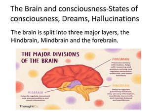 History of Psychology.pdf for b com students | PDF