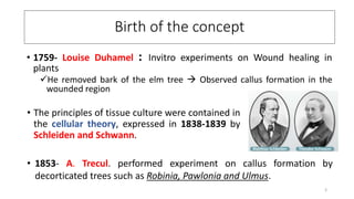 HISTORY OF PLANT TISSUE CULTURE.pptx