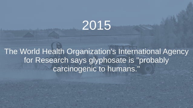 The History of Roundup: A Timeline | PDF