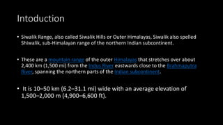 History of Sivaliks.pptx