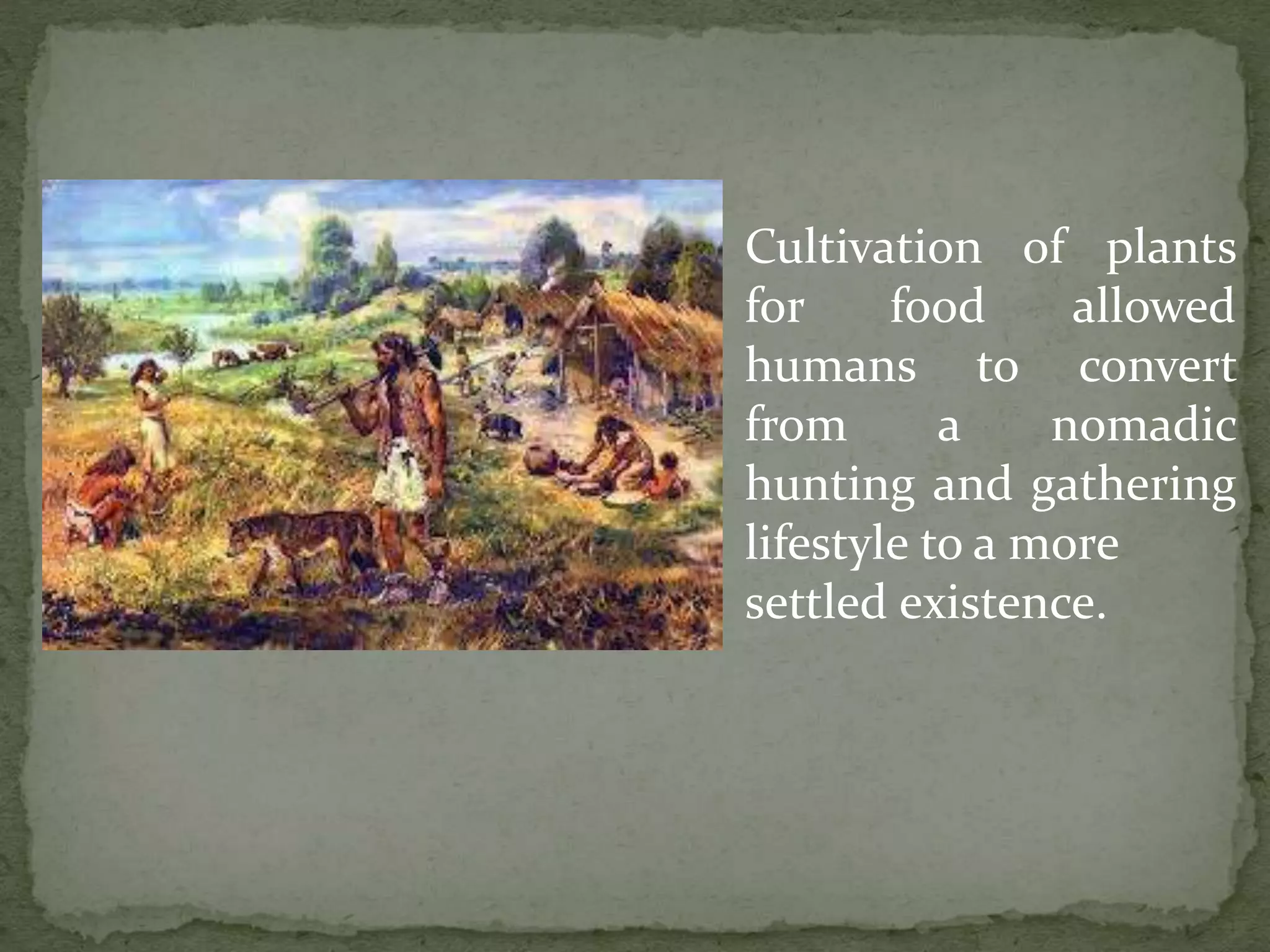 History of soil fertility | PPTX