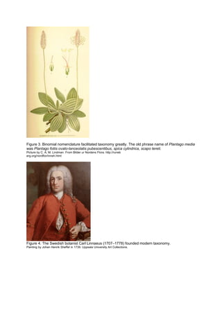 History of taxonomy | PDF