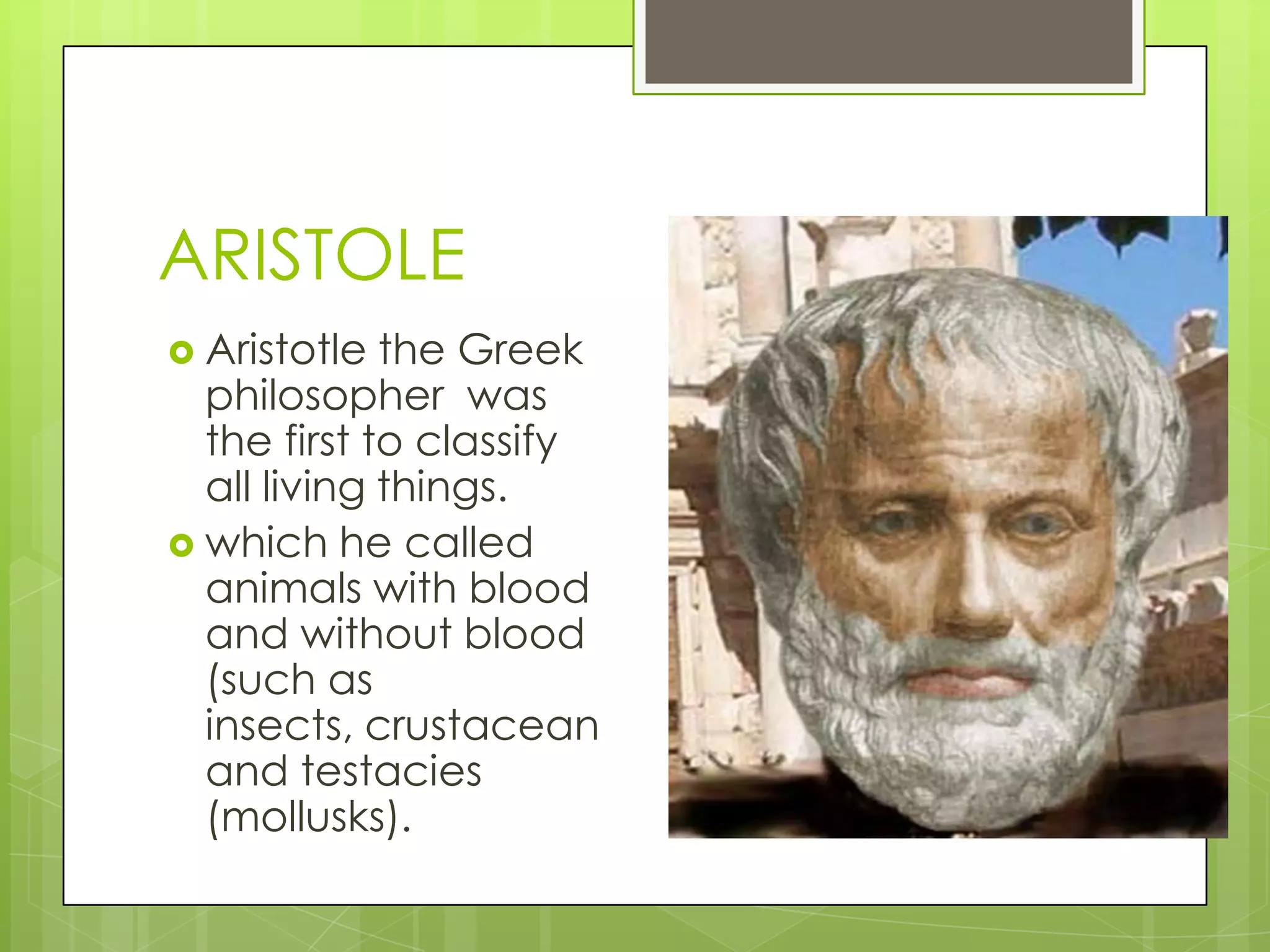 History of taxonomy | PPTX