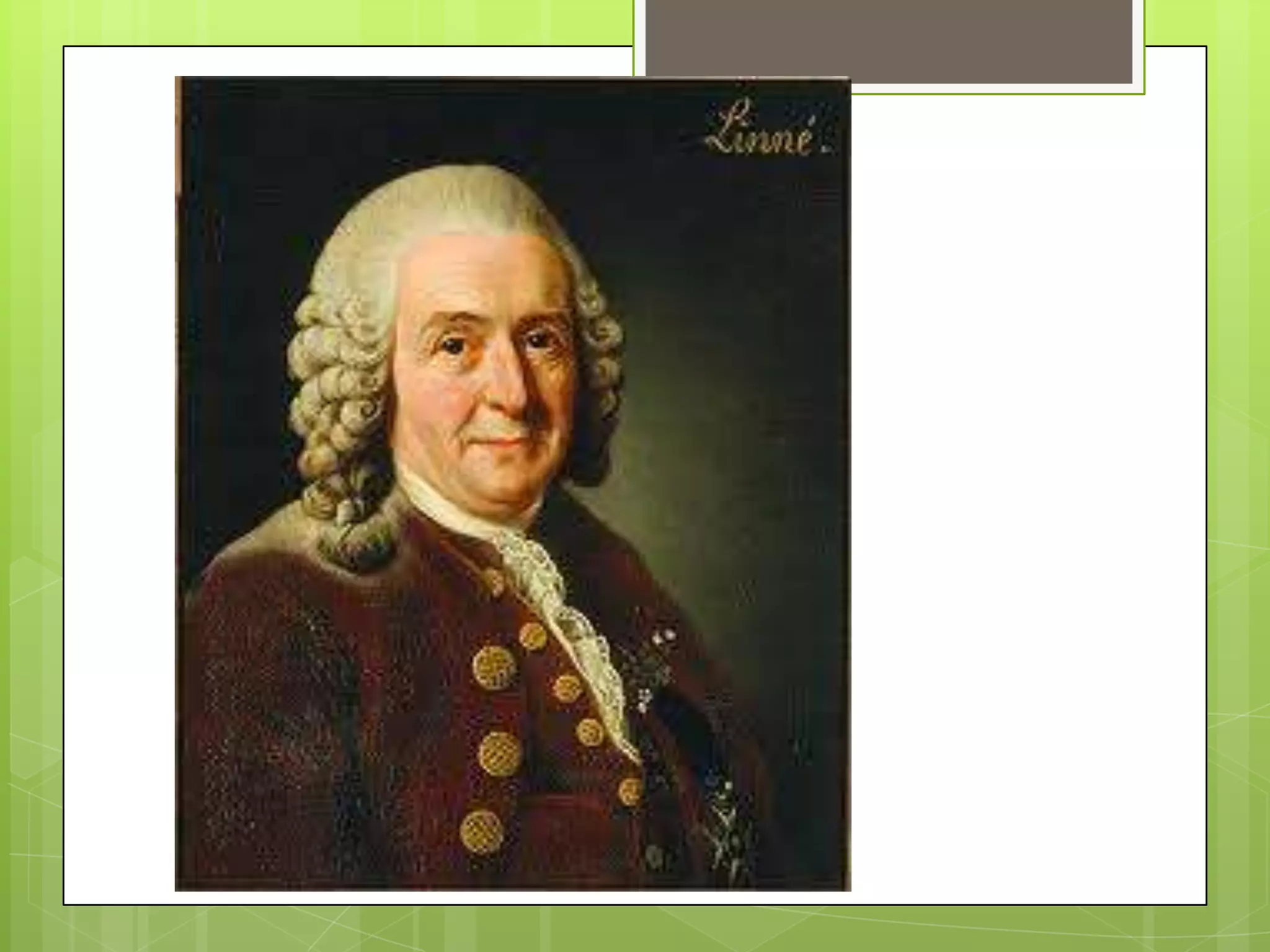 History of taxonomy | PPTX