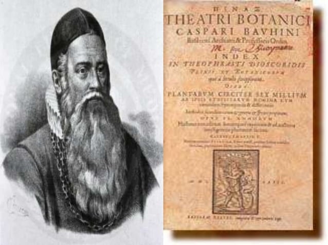 History of taxonomyyyyy | PPT