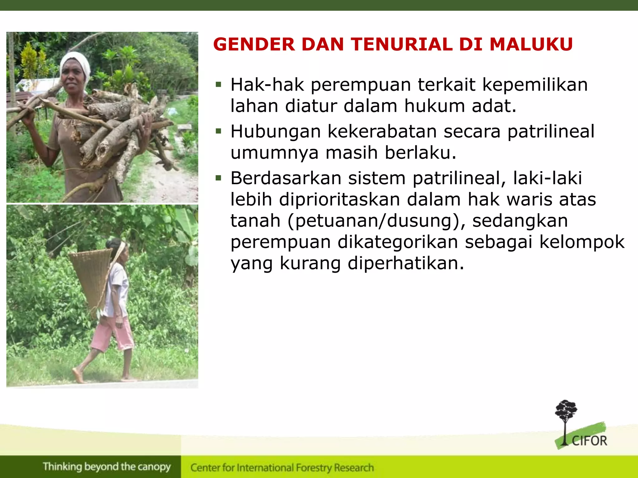 Gambaran Umum Reformasi Tenurial Lahan Dan Hutan Di Maluku | PPT