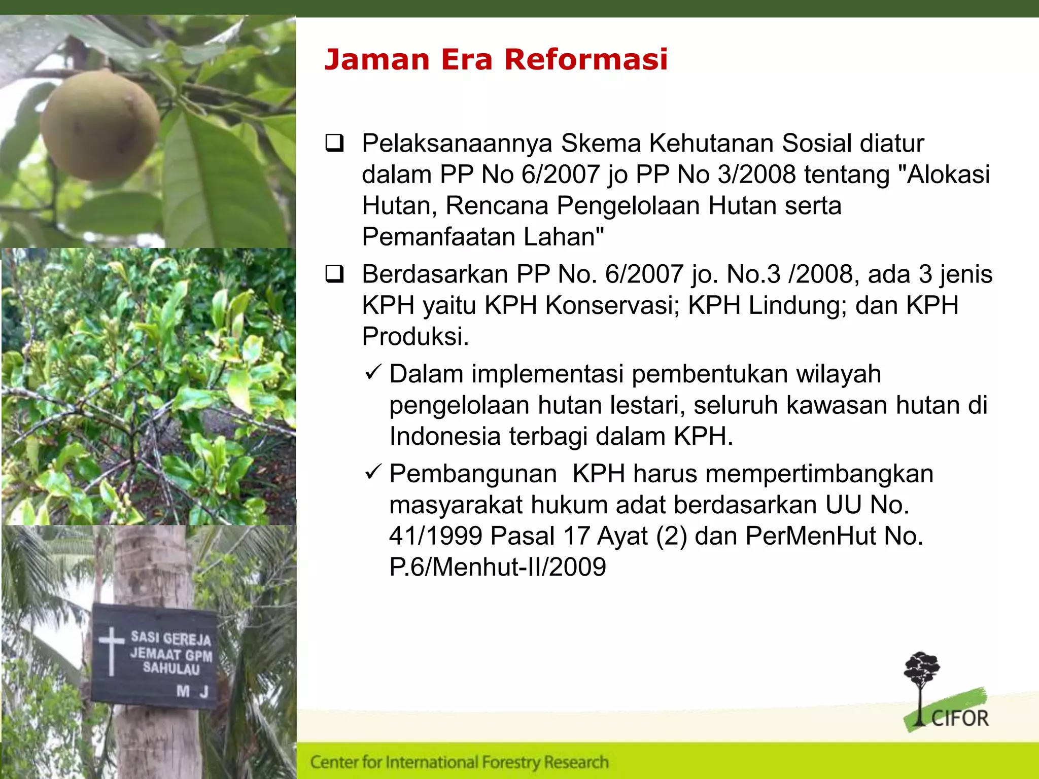 Gambaran Umum Reformasi Tenurial Lahan Dan Hutan Di Maluku | PPT