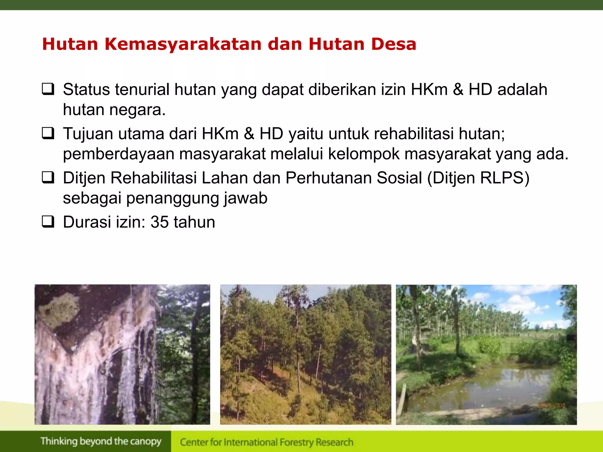 Gambaran Umum Reformasi Tenurial Lahan Dan Hutan Di Maluku | PPT