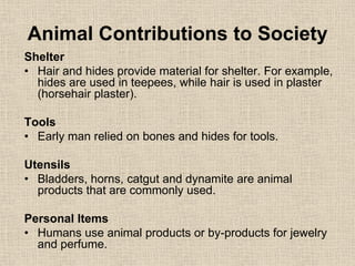 History of the Animal Domestication.pdf