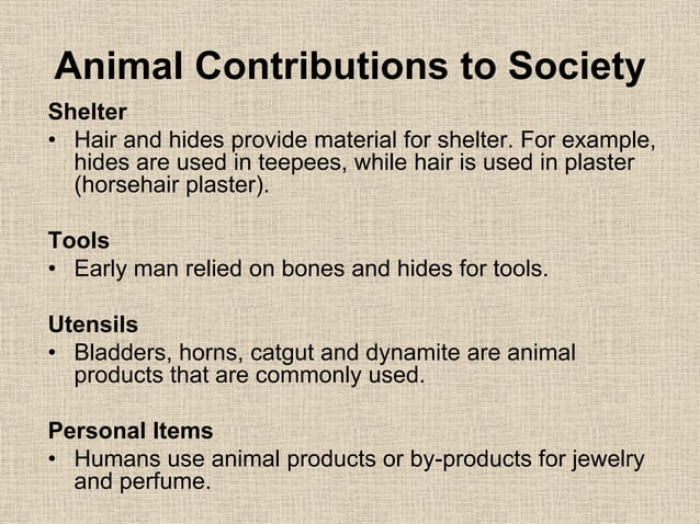 History of the Animal Domestication.pdf