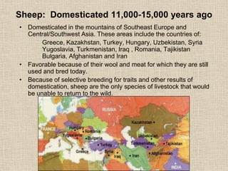 History of the Animal Domestication.pdf