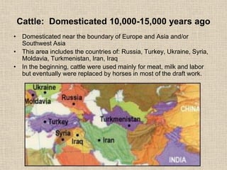 History of the Animal Domestication.pdf