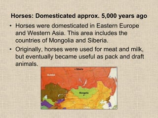 History of the Animal Domestication.pdf