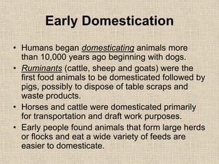 Early Domesticated Animals