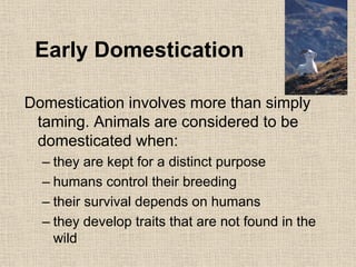 History of the animal science industry | PDF