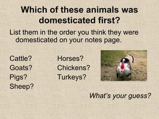 History of the animal science industry | PDF