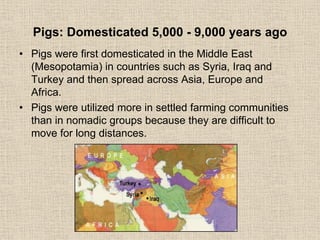 History of the animal science industry | PDF