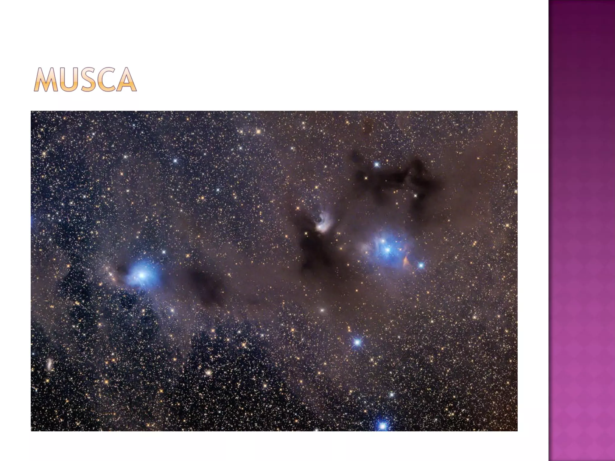 History of the constellations | PPT