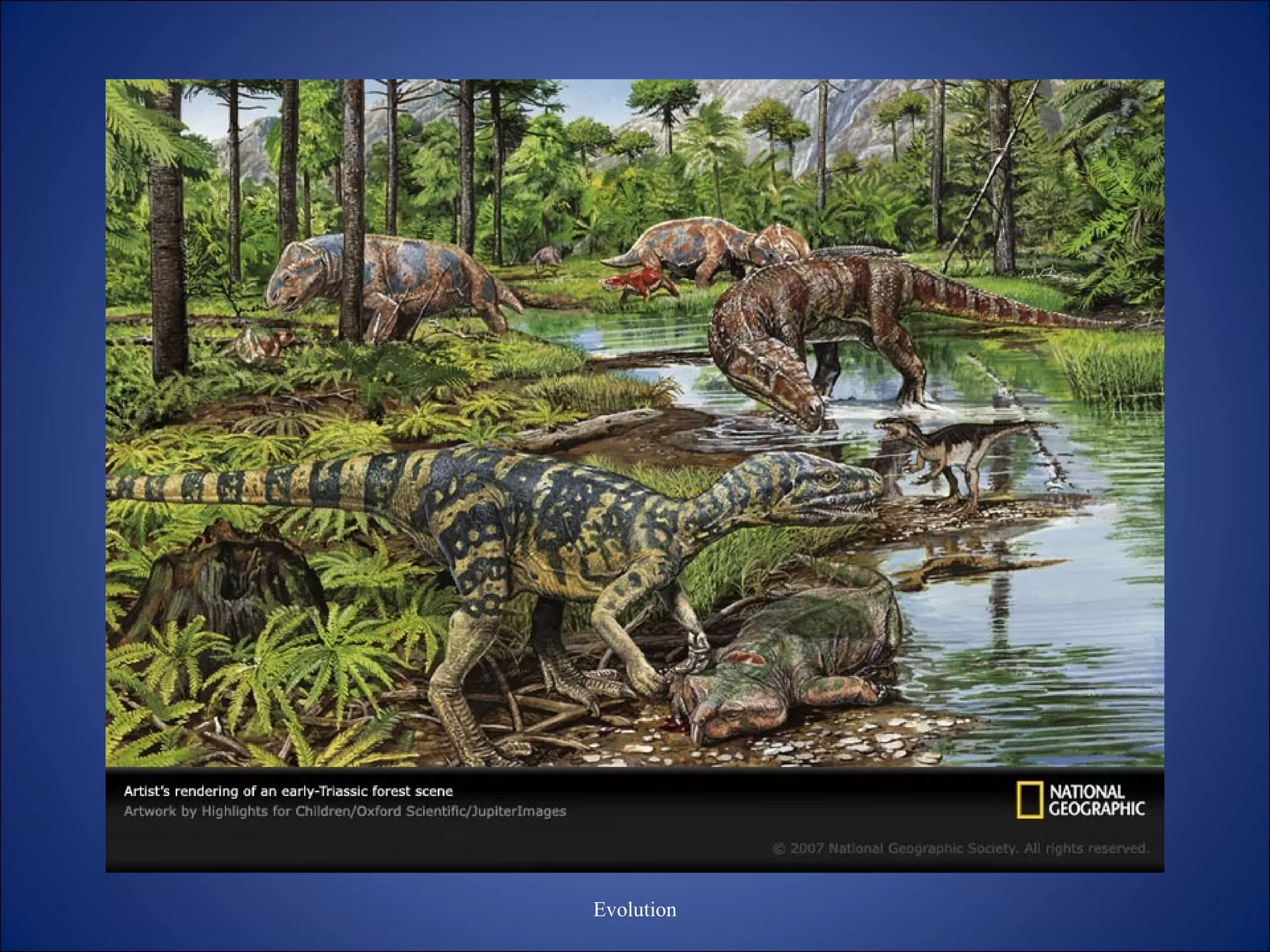 History Of The Earth | PPT