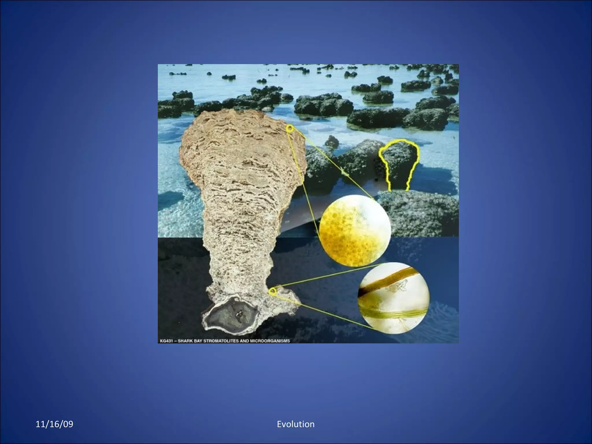 History Of The Earth | PPT