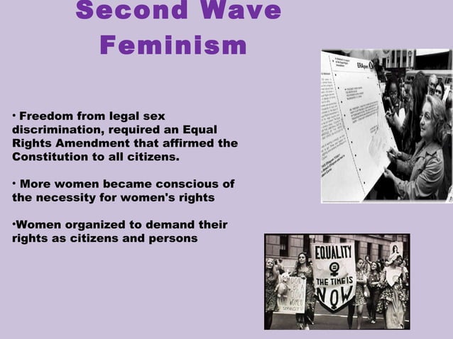 History Of The Equal Rights Amendment | PPT