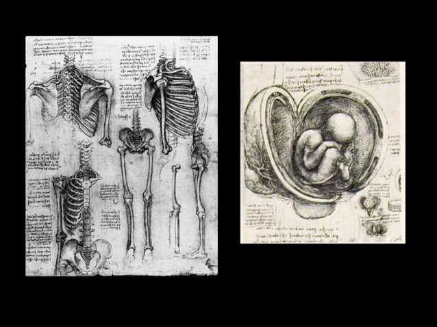 History of the figure