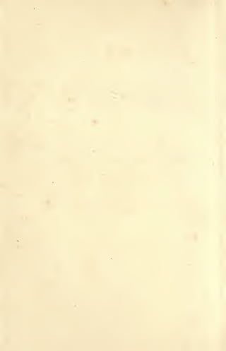 History of the Great Boer Trek | PDF