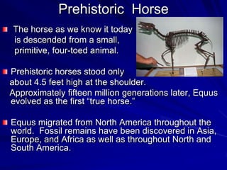 History Of The Horse | PPSX