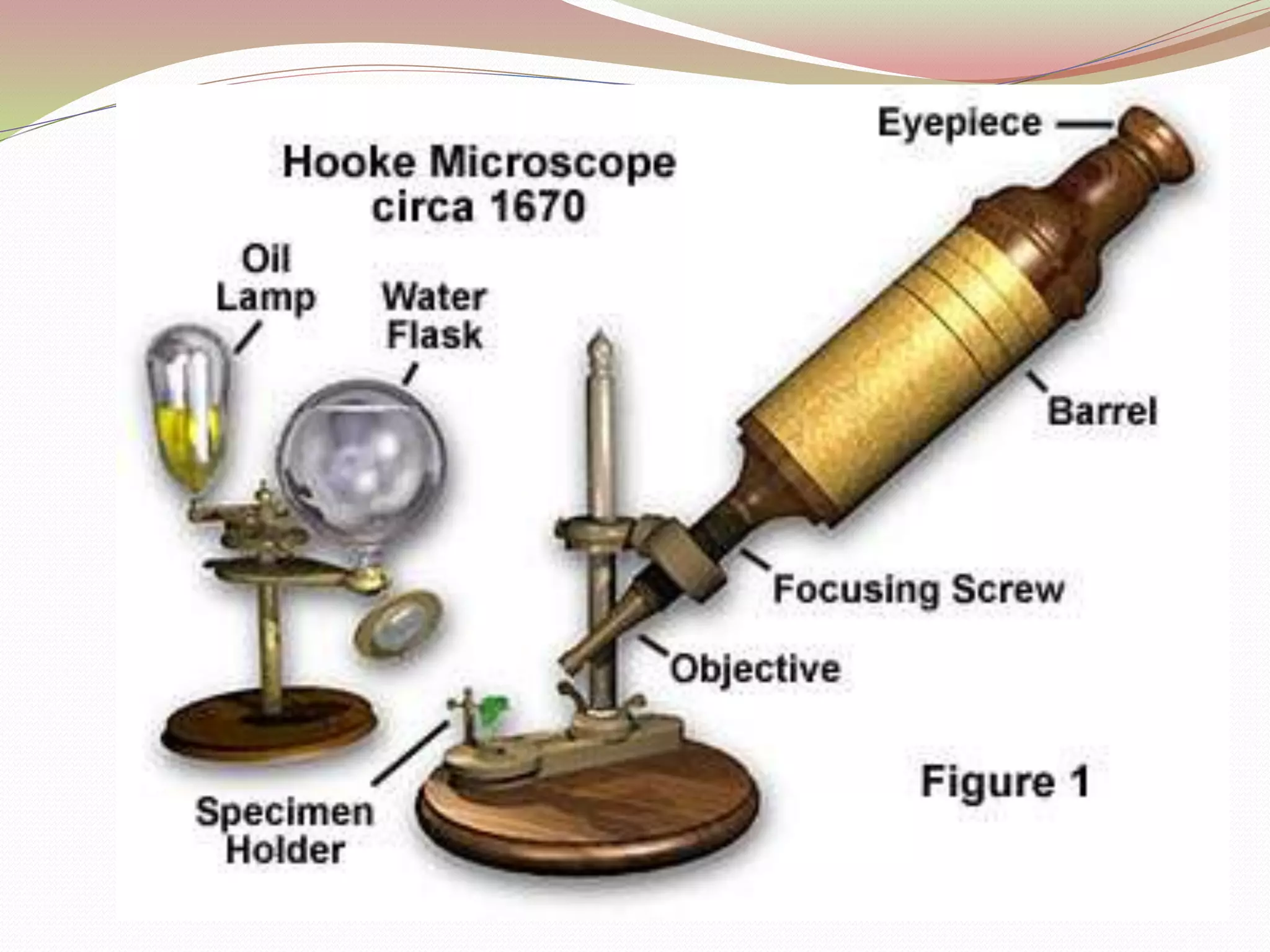 History of the microscope | PPTX