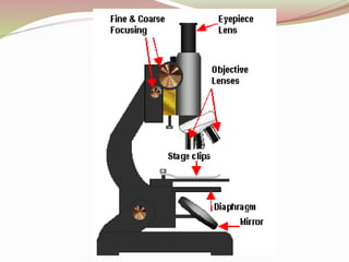 History of the microscope | PPTX